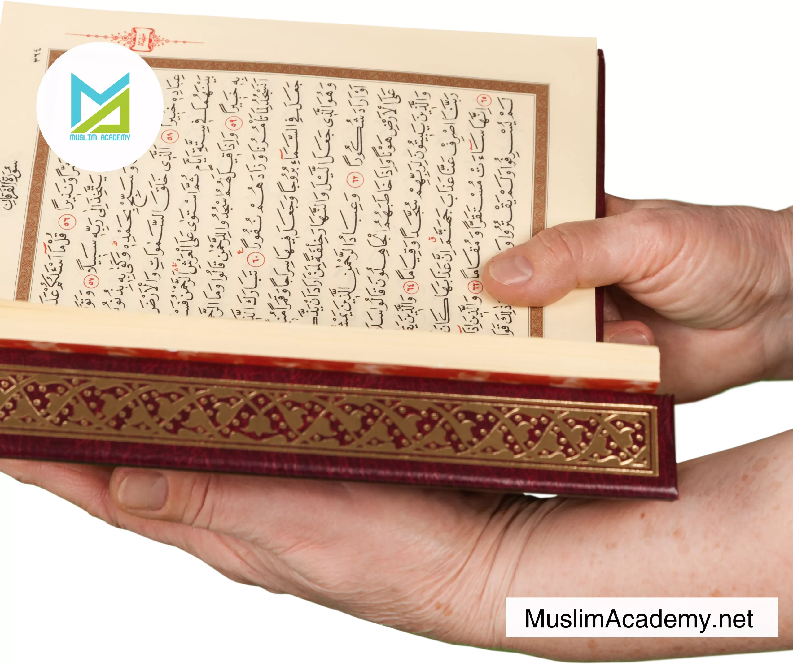 Online Female Quran Tutor - Muslim Academy